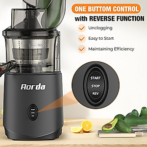 Cold Press Slow Masticating Juicer: Powerful Cold Pressed Juicer Machines Easy To Clean For Vegetable and Fruit, Grey