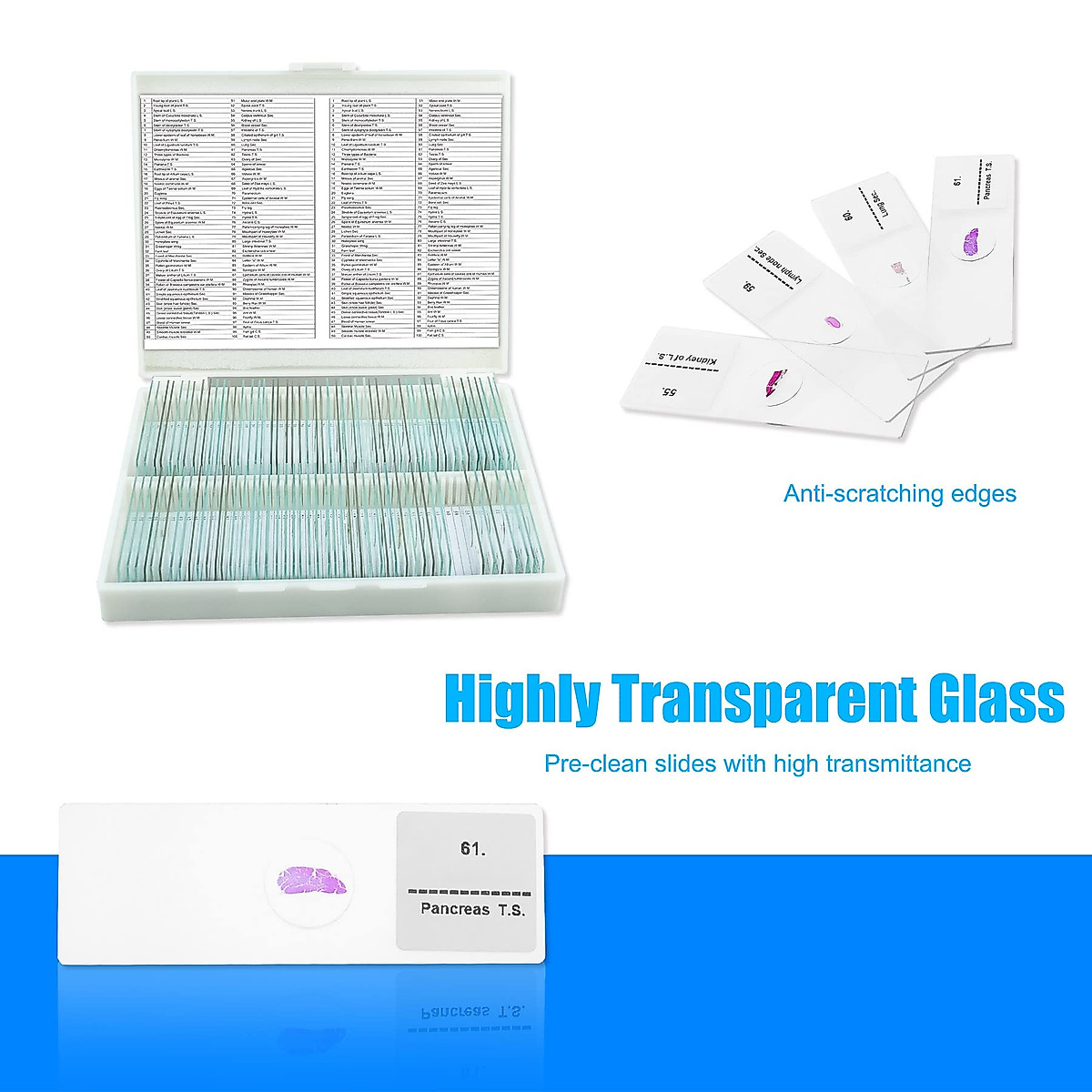 Microscope Slides, 100 Pcs Prepared Microscope Slides with Specimens for Kids Home School Class Learning