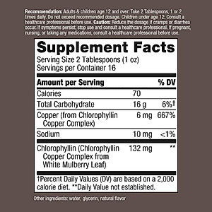 Natures Way Chlorofresh Liquid Natural Flavor, 16 FZ