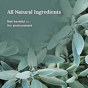 Magnificent 101 Long Lasting Taurus Zodiac Candle | 6 Oz - 35 Hour Burn | Peach Vanilla Scented Soy Wax Candle | Harness The Power of Astrological Signs to Find Your Strength