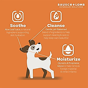 Project Watson Ear Wash for Dogs, Gentle pH Balanced Formula to Help Support Ear Health & Hygiene, Contains Aloe Leaf Juice, Glycerin & Propylene Glycol, Hydrogen Peroxide & Fragrance Free, 4 Fl Oz