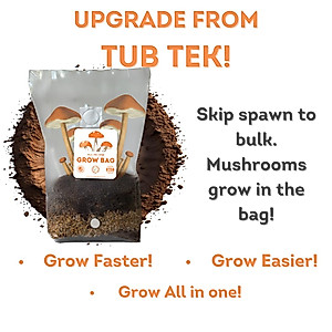 MycoLabsDirect All-in-One Mushroom Grow Bag - 3lbs with Grain and Substrate - Grow Edible and Medicinal Mushrooms at Home with Pre-Sterilized Bags