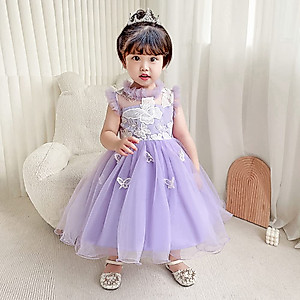 Baby Girls Birthday Dress Infant Ruffled Butterfly Embroidered Special Occasion Dresses (80/12-18M, Purple)