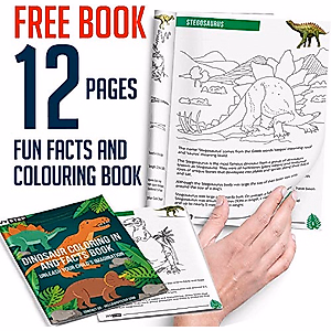 Dinosaur Building Toy Set for Kids - STEM Take Apart Construction Toys Include Build a Dino Construct & Play Kit, Storage Bag, & Coloring Book - Educational Toys, Birthday Party Toy Dinosaurs