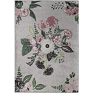 Rugs America Hanna VA40C Rose Garden Gray Floral Transitional Area Rug, 5'x7'