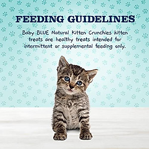 Blue Buffalo Baby BLUE Kitten Crunchies Grain Free, Natural Kitten Treats, Savory Salmon 2-oz Bag