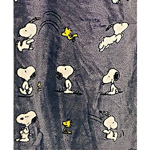 Snoopy & Woodstock Playtime Velvet Soft Cozy Plush Throw Blanket | 55" x 70" | by Berkshire Blanket & Home Co.
