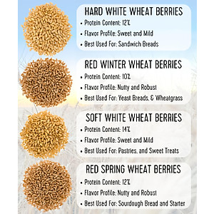 Hard White Wheat Berries | 3-4 LB Kraft Bags (12 LBS total) | Desiccant Free | Sproutable | Non-GMO Project Verified | Kosher
