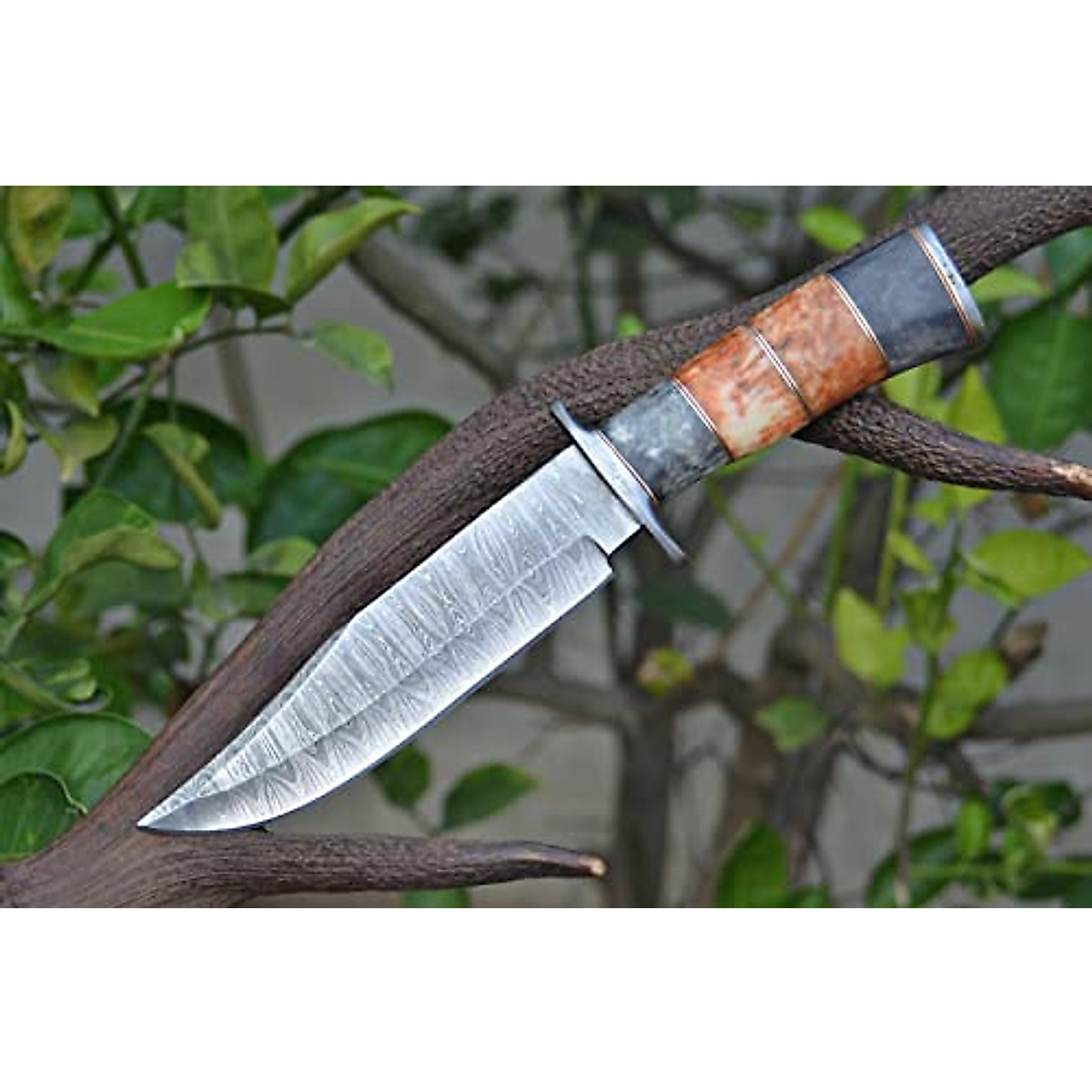 UK UNIQUE SHARP KNIVES BK-3002 Handmade Damascus Steel 12.50 Inches Hunting Knife - Exotic Coloured Bone Handle