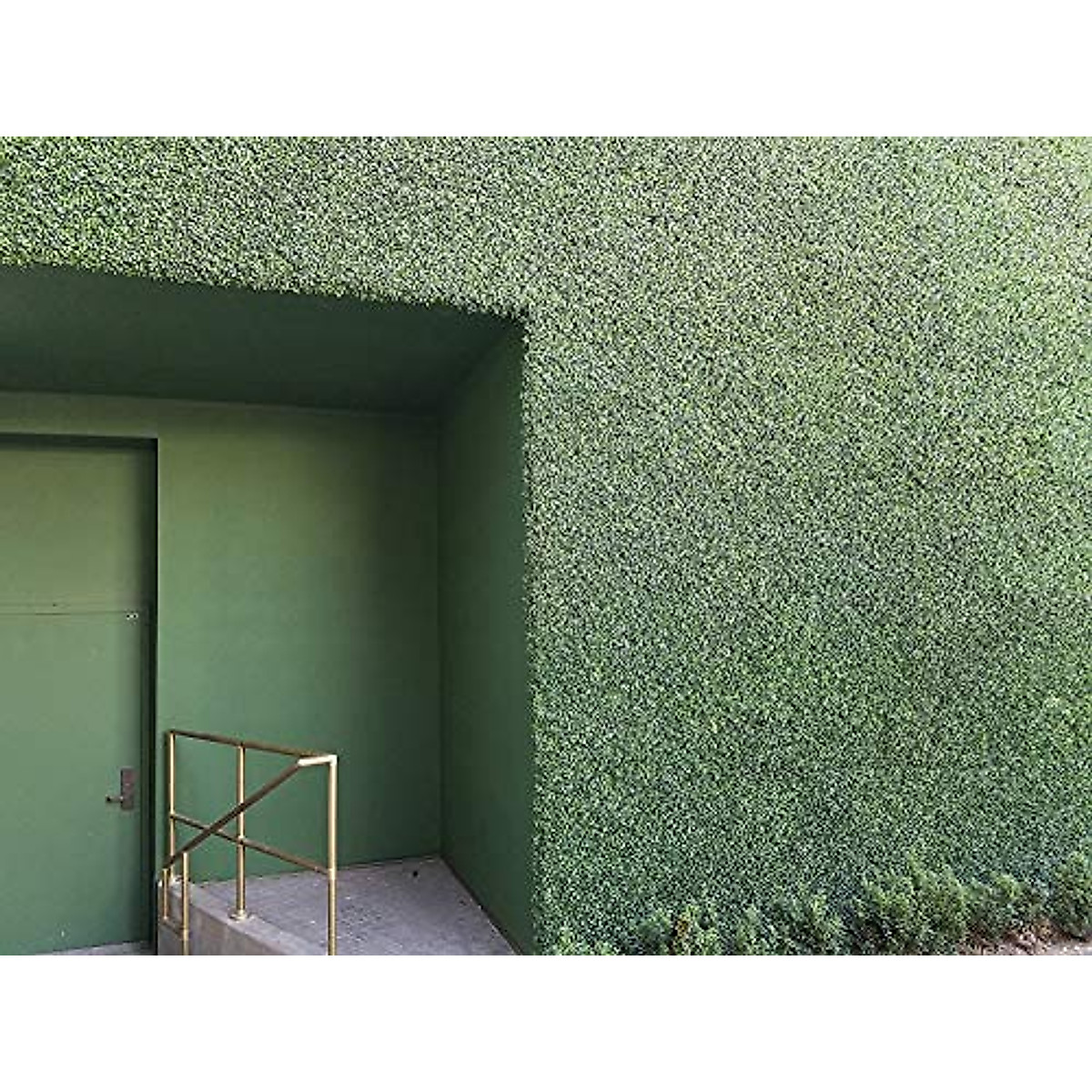 Artificial Boxwood Hedge, Faux Greenery Wall, Privacy Hedge Screen, UV Protected Faux Greenery Mats, Boxwood Wall, Suitable for Both Outdoor or Indoor (20x20 Inch DarkG_12pc)