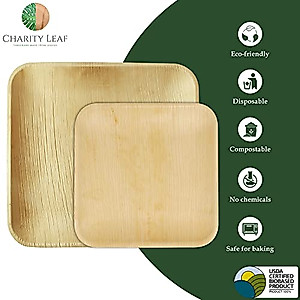 Charity Leaf Compostable Palm Leaf Dinnerware Set | 10" Square (25 pack) & 7" Square (25 pack) Like Bamboo Plates | Natural, Disposable & Eco Friendly | Perfect for Parties, Weddings & Catering Events