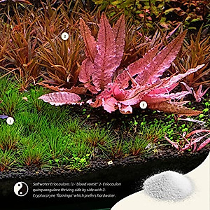 2HR Aquarist APT Sky GH Booster + Shrimp Mineral (800g)