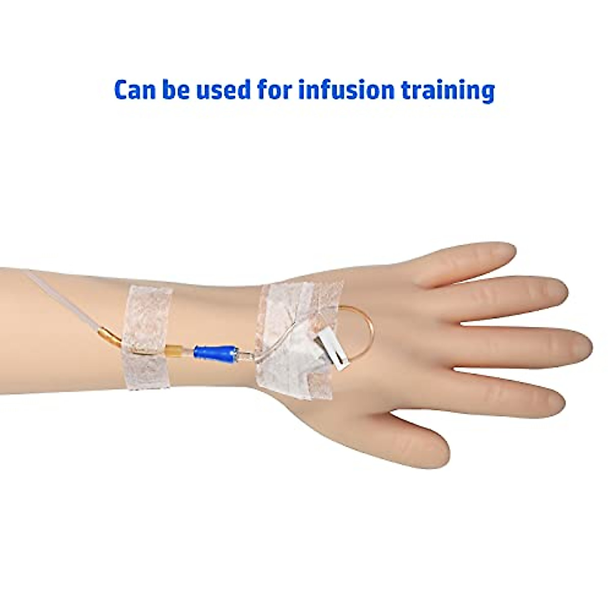 IV Practice Arm - Anatomy Lab IV Training Kit,Phlebotomy and Venipuncture Practice Arm,Model for Training and Perfecting IV/Phlebotomy/Venipuncture Procedures and Techniques