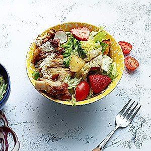 Amazingware Porcelain Salad Bowls - 18 Ounce for Cereal, Soup, Salad and Pasta, Bowl Set of 6, Assorted Designs