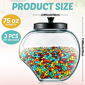 Mumufy Set of 3 Glass Slanted Storage Jar Large Candy Jars with Lids Cookie Jar with Black Matte Metal Top Tilted Clear Candy Containers Sealed Canister with Lid for Home Laundry Kitchen (75 oz)