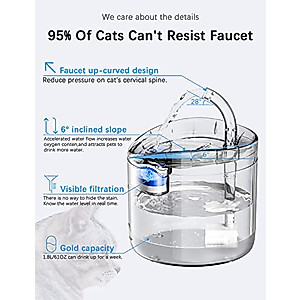 HAPUP Cat Water Fountain Animal Water Dispenser 61OZ/1.8L Automatic Pet Drinking Fountain Clear Upgrade with 2 Filter Replacement 1 Adjustable Silent 1 Water Pump for Cats Kitty Indoor