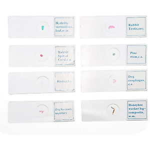 25pc Assorted Specimen Collection of Prepared Microscope Slides Glass Slide