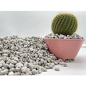 Pumice for Bonsai, Succulent, Cactus | 2 Quarts Bag | 1/4” Particle Size | The Bonsai Supply