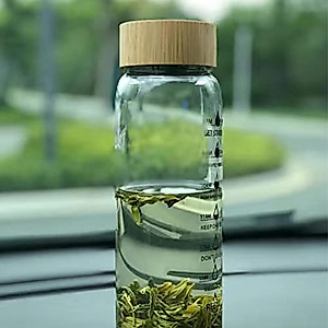 HOLABEAR 32oz Glass Motivational Daily Water Intake Bottle with Time Marker, Leakproof Bamboo Lid and Holder Sleeves, for Hot and Cold Drinks, Clear Reusable BPA Free