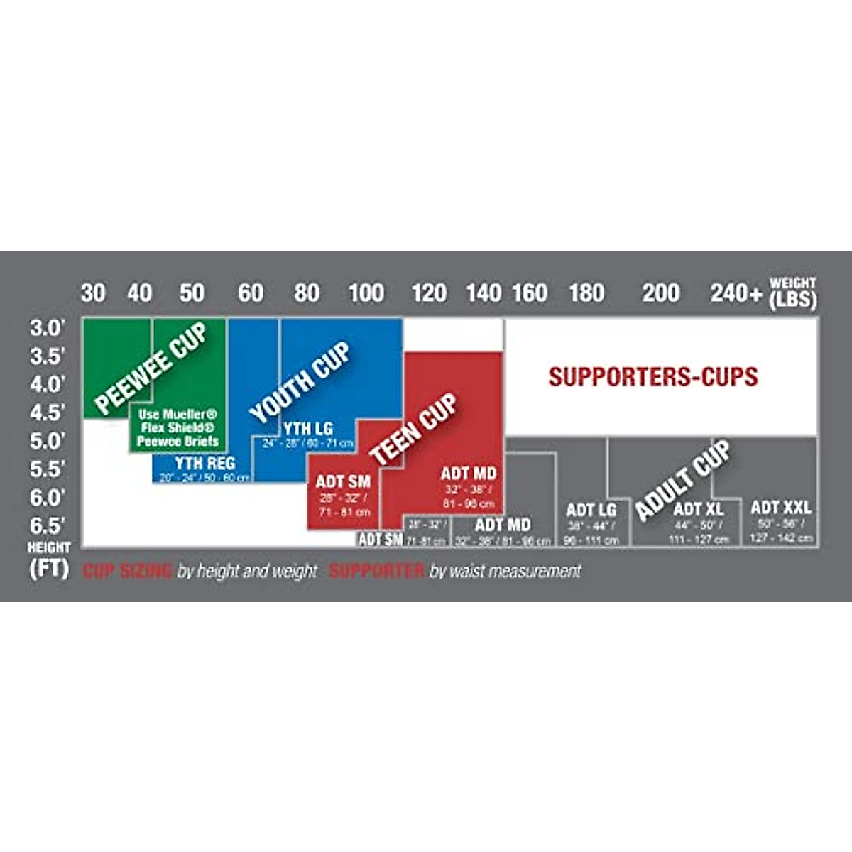 MUELLER Sports Medicine Athletic Supporter with Flex Shield Cup, White/Blue, Youth Large