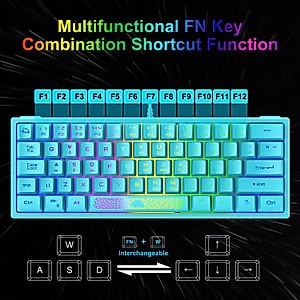 60% Wired Gaming Keyboard and Mouse Combo,Compact RGB Backlit Mini Mechanical Feel Keyboard,Converter Adapter,RGB 6400 DPI Lightweight Gaming Honeycomb Shell Mouse for Xbox,PC,Laptop,MAC