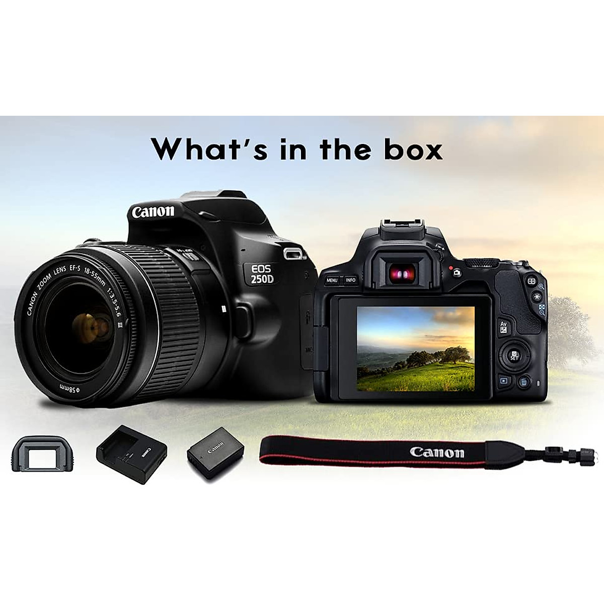 Canon EOS 250D / Rebel SL3 DSLR Camera with 18-55mm Lens (Black), Creative Filter Set, EOS Camera Bag, Sandisk Ultra 64GB Card, 6AVE Electronics Cleaning Set, and More (Renewed)