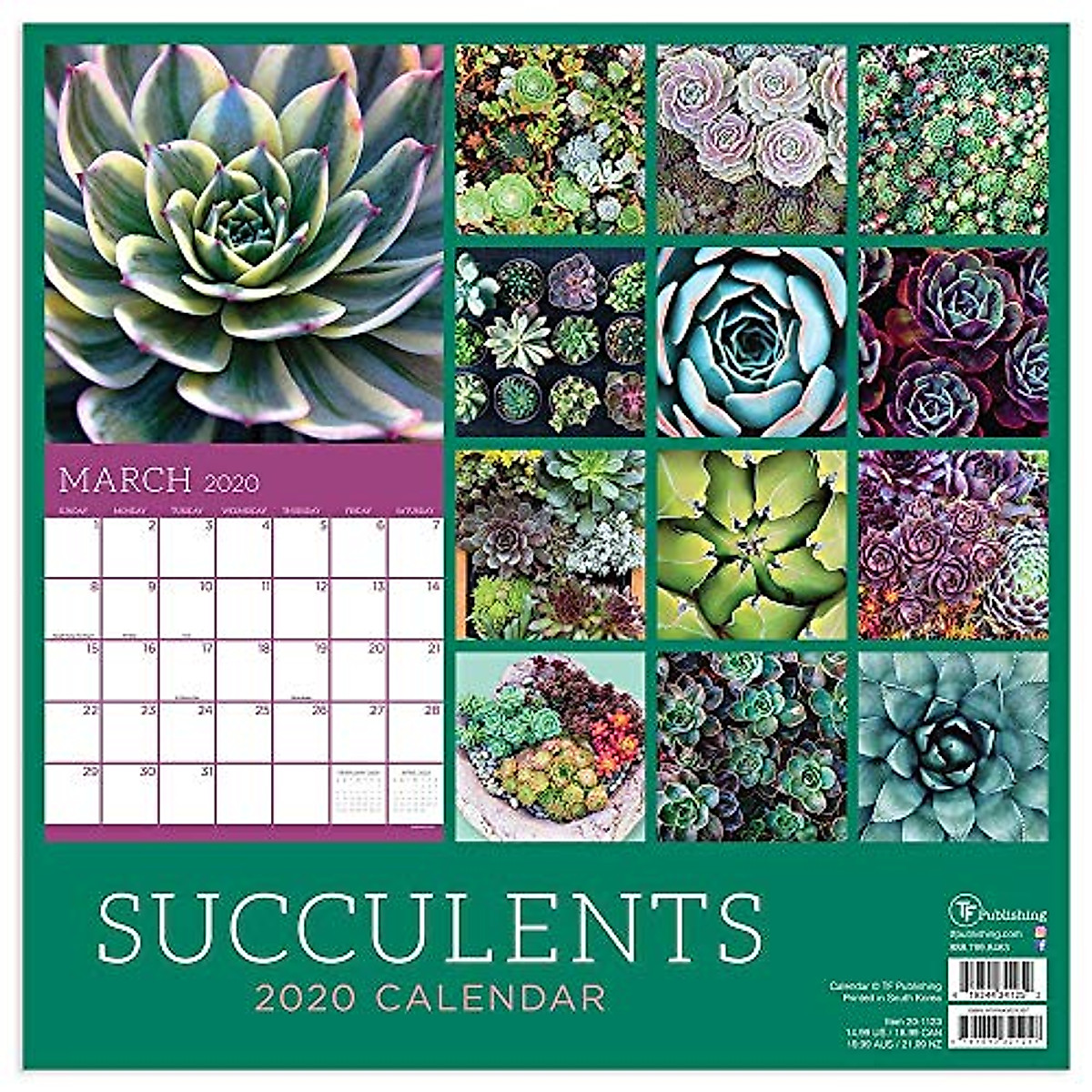 2020 Succulents Wall Calendar
