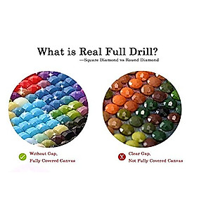 Red and Black Diamond Painting Red White Roses with Angel Wing Full Square Drill Kits Embroidery Cross Stitch Mosaic Art for Adults Home Wall Decor Beautiful Picture for Festival Gift 16x20IN