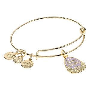 Alex and Ani AA613022Expandable Bangle BraceletSG,Words are Powerful, Easter Blessings Expandable Bangle Bracelet,Shiny Gold,Purple,Bracelet