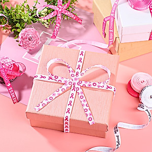 12 Rolls Breast Cancer Awareness Grosgrain Ribbons Pink Bow Making Ribbon DIY Craft Decorative Ribbons for Women Gift Wrapping Activities Home Decor, 3/8in