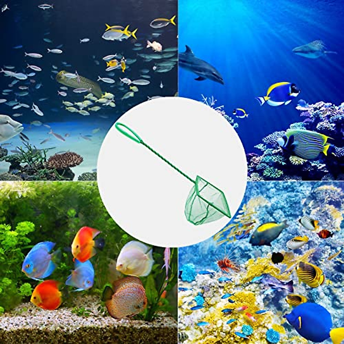 QXBXYHM 5 Pack Aquarium Fish Net, Multi-Size Fine Quick Fish Catch Nets Nylon Fishing Mesh Nets with Long Plastic Handle for Fish Tank - Green (3in, 4in, 5in, 6in, 6in)