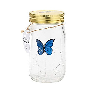 Butterfly in a Jar, Glass Animated Butterfly In A Jar With LED Light Gift Decoration (Blue)
