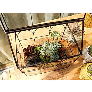 ELEGANTLIFE Glass Geometric Plant Terrarium,Succulent & Air Planter for Home Garden Office Decoration (Black House)