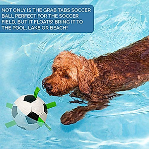 Hyper Pet The Original Quality Grab Tabs Dog Soccer Ball & Dog Football (Indoor-Outdoor Interactive Dog Toy Dog Balls with Easy Grab Tabs) Fun Dog Tug Toy and Dog Ball - 5"