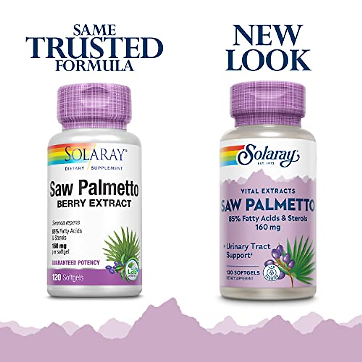 SOLARAY Saw Palmetto Extract, Healthy Prostate & Urinary Tract Support, Lab Verified (120 Softgels)