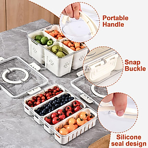 Edovagixa Veggie Tray Snackle Box Container: 4 Compartment Divided Serving Tray with Lid & Handle - Airtight Food Friut Snacks Storage Containers,Snack Box Candy Organizer for Picnic Travel Party