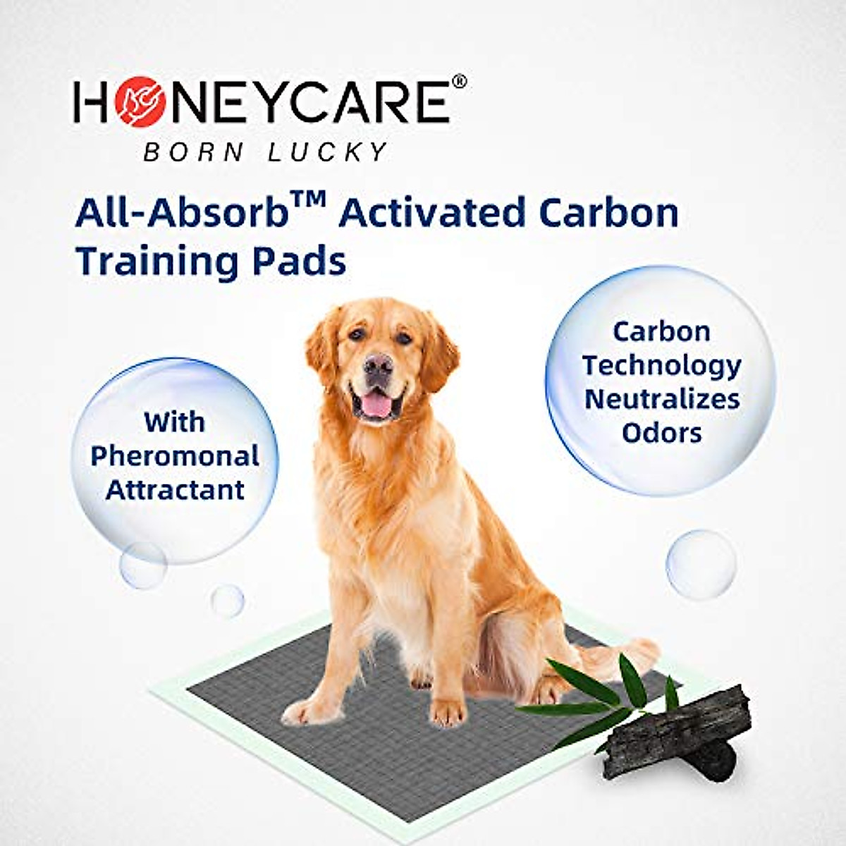 HONEY CARE All-Absorb Puppy Training Pads Dog Potty Pads Absorb Eliminating Urine Odor, Jumbo-Size Charcoal Puppy Pee Pad (Carbon, XL 28x34 inch, 40ct)