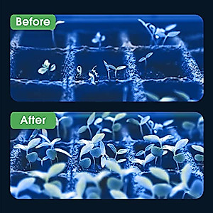 Briignite Grow Light Bulbs for Seedlings, Blue Spectrum, A19 E26 Base, 9W Grow Bulb 90W Equivalent for Indoor Plants, Seed Starting, 2Pack