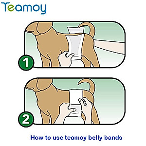 Teamoy Reusable Wrap Diapers for Male Dogs, Washable Puppy Belly Band Pack of 3 (M, 13"-16" Waist, Black+ Gray+ Lake Blue)