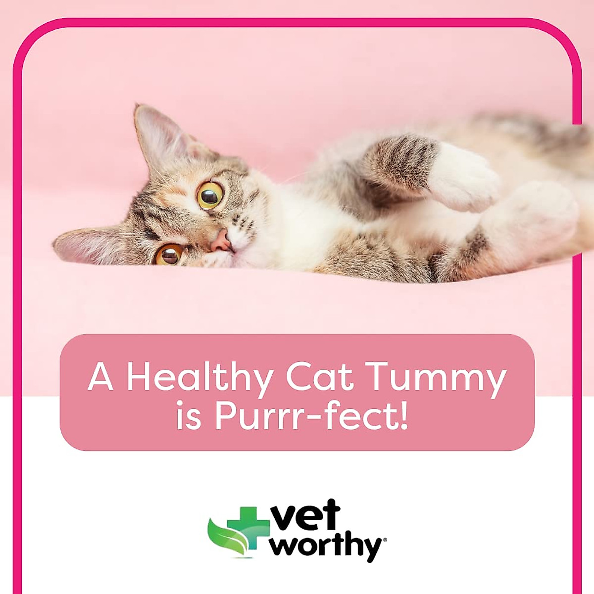 Vet Worthy Anti-Diarrhea for Cats - Cat Supplement to Help Relieve Diarrhea, Stomach Upset, and Discomfort - Pet Digestive Health Support with Kaolin and Pectin - 4oz
