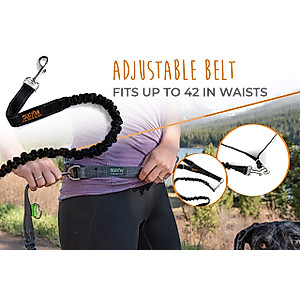 Mighty Paw Hands Free Dog Leash | Bungee Waist Leash for Dog Walking. Dog Running Leash Hands Free. Hands Free Leash for Large Dogs, Medium & Small Dogs. Dog Leash Waist Belt (36" - 48") Up To 150 lbs