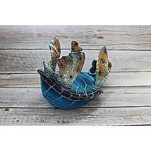 Sea Turtle Bottle Holder Turtle Figurine Natural Color Turtle Wine Bottle Holder, Blue