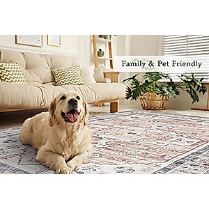 Valenrug Pink Washable Rug - Non-Slip Soft 5x7 Area Rugs, Stain Resistant Antique Rugs for Living Room, Foldable Vintage Bedroom Rug(5'x7', TPR35-Pink)