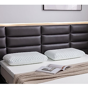 Hcore Gel Memory Foam Pillow Dual-Sided Cooling & Cozy Washable Cover for All Seasons Ventilated Breathable Sleeping- CertiPUR-US Queen (Pack of 1)