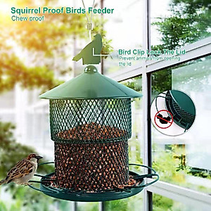 Metal Bird Feeders for Outside Hanging,Squirrel Proof Wild Bird Feeders for Cardinal, Heavy Duty with 4lbs Large Seed Capacity,6 Perches for Garden Yard Outdoors