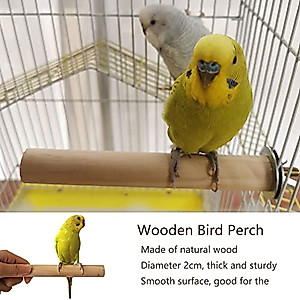 Tfwadmx Parakeet Perch Bird Stand Toy Natural Wood Platform Grinding Nail Cage Accessories for Small Birds Cockatiels Lovebirds Budgie Parrots 8 PCS