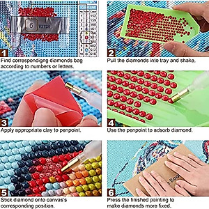 Diamond Painting Kits for Adults,Beautiful Cat Wizard 5D DIY Diamond Art Kits Full Drill Diamond for Gift Wall Decor Gem Arts Cute Cat 8 * 12inch