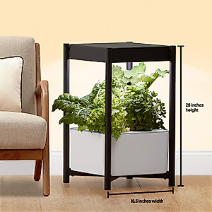 Miracle-Gro Twelve Indoor Growing System, Side Table with LED Grow Light for Year Round Gardening, Planter For Leafy Greens, Herbs & Flowers