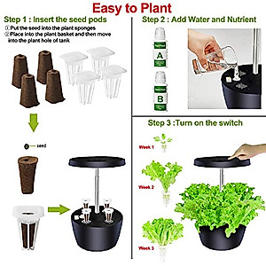 Hydroponics Growing System, 4 Pods Indoor Herb Gardening System with LED Grow Lights, Automatic Timer and Pump, Hydroponic Plant Germination Kits for Vegetable/Lettuce
