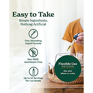 Herb Pharm Organic Nootropic Brain & Memory Supplement with Ginkgo Biloba Liquid Extract: Fast Absorption for Mental Focus Support, Ginkgo Supplement, Vegan, Gluten-Free, Non-GMO, 1 Oz